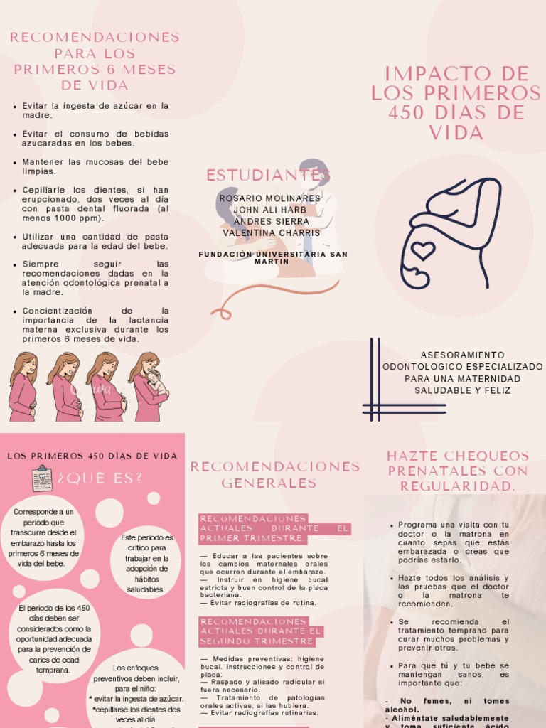Folleto para Gestantes | PDF