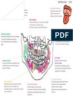 1 Region Superciliar | PDF | Cráneo | Anatomía humana