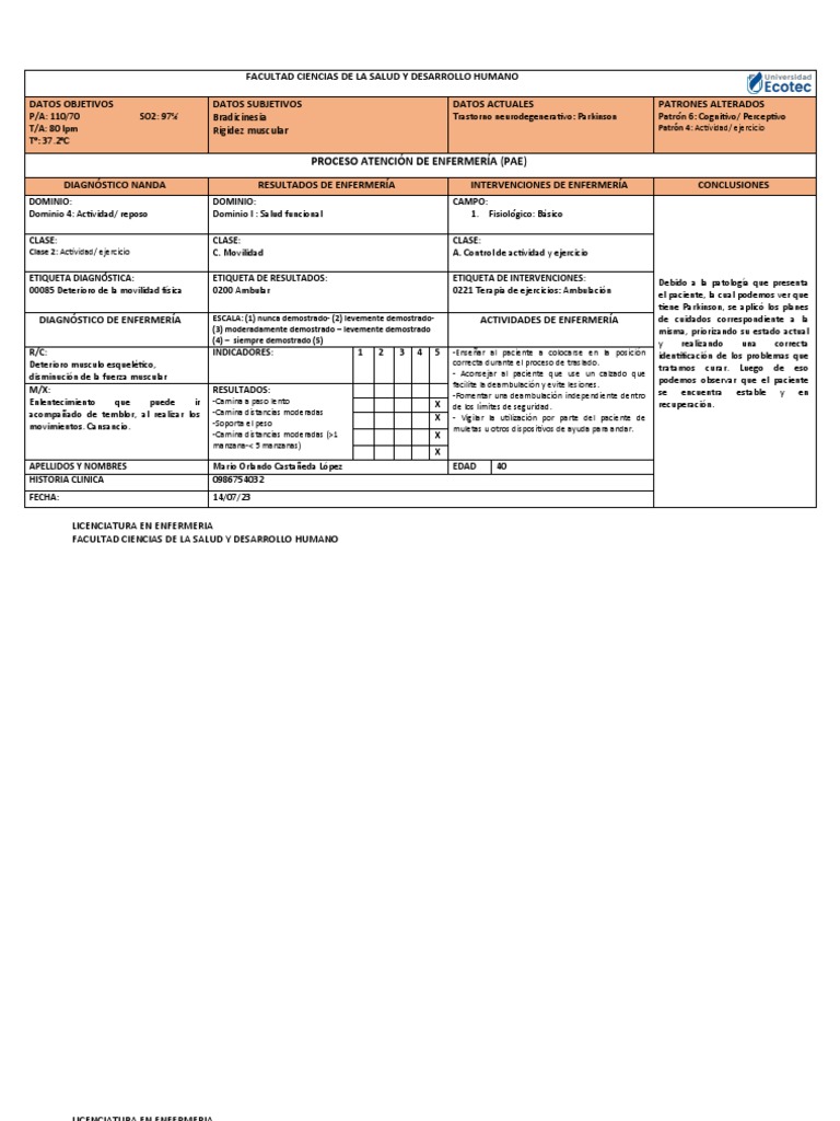 Pae (Proceso Atencion Enfermero Plantilla) | PDF | Enfermedad de ...