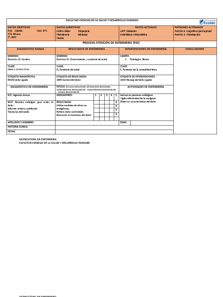 Proceso Atención De Enfermería Pae Pdf Dolor Cuidado De La Salud