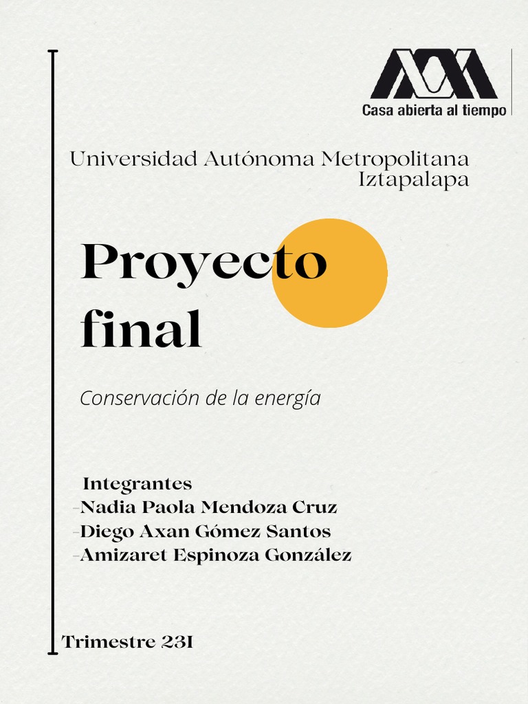Proyecto Final | PDF