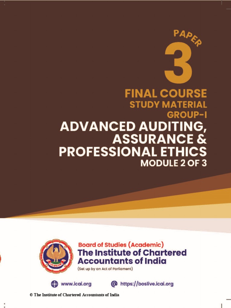 Audit Module 2 | PDF