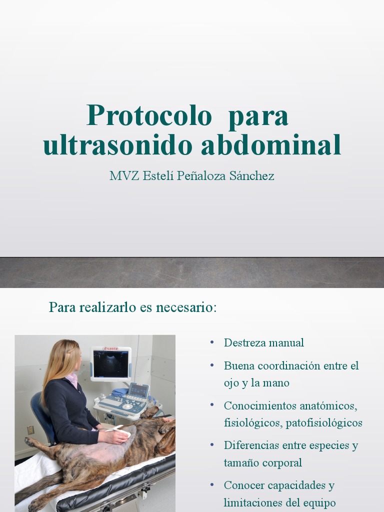 Protocolo de Ultrasonido Abdominal | PDF | Hígado | Abdomen