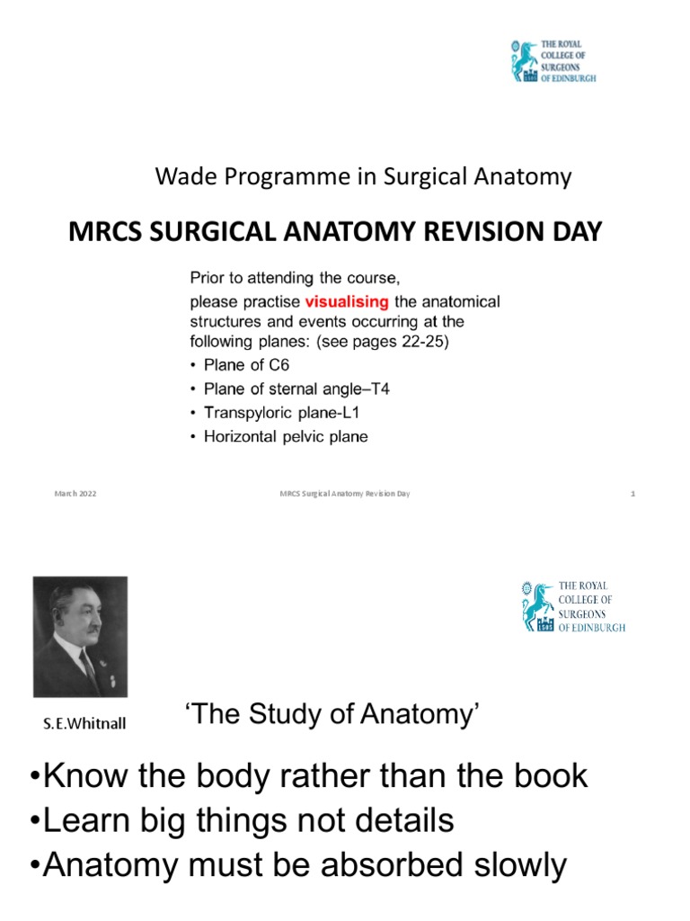 MRCS Wade Approach Anatomy | PDF