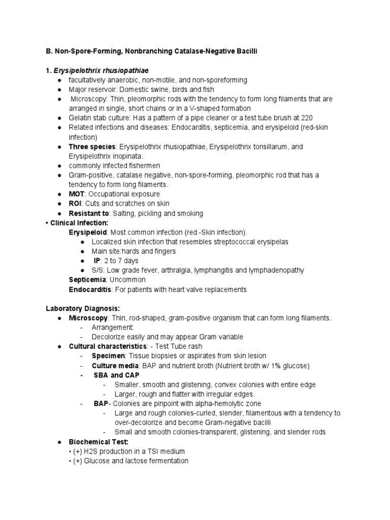 Non-Spore-Forming Bacilli Overview | PDF | Diseases And Disorders ...