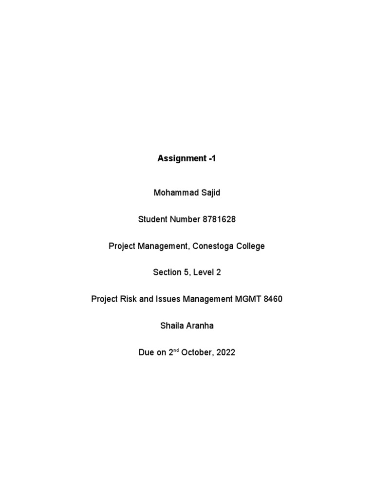 Assignment 1 Risk and Issues | PDF | Brainstorming | Decision Making