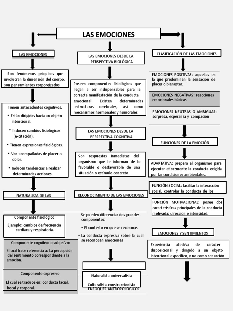 Mapa Conceptual de Las Emociones 5 | PDF