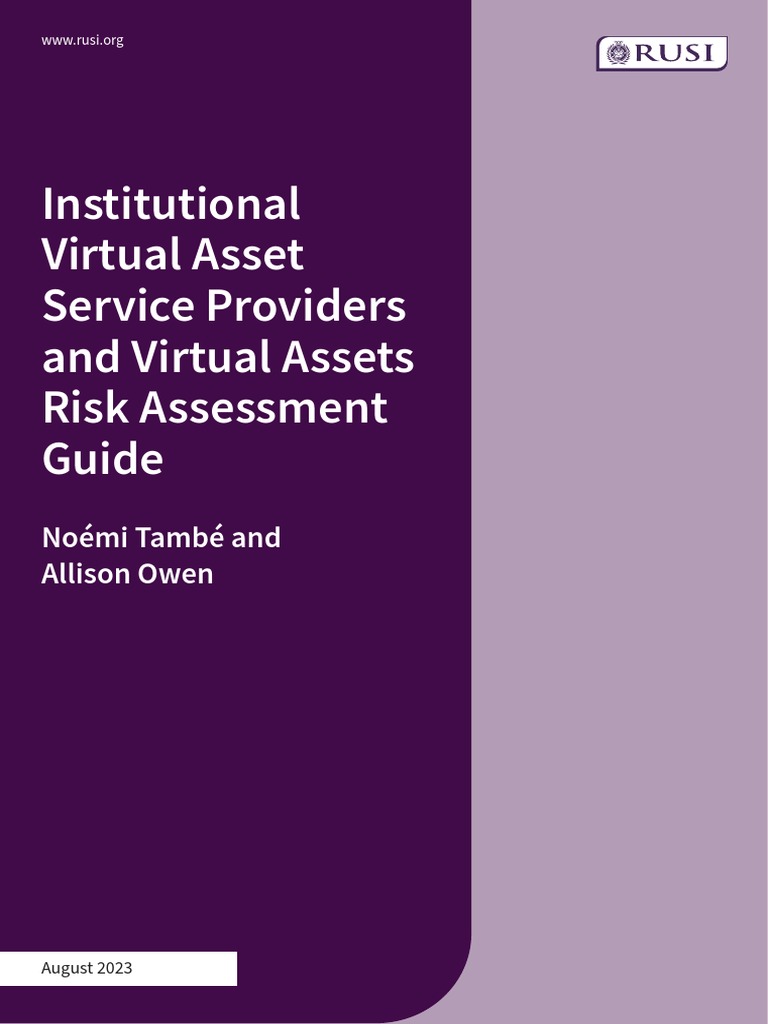 Institutional VASP and VA Risk Assessment Guide | PDF