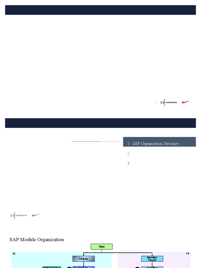 SAP Structure for Business Units | PDF
