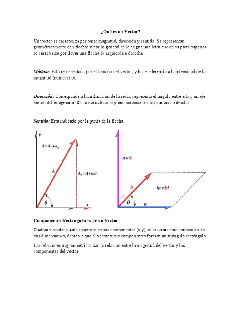 Qué Es Un Vector | PDF