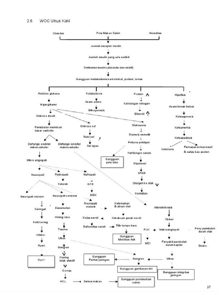 Pathway Ulikus Diabetikum | PDF