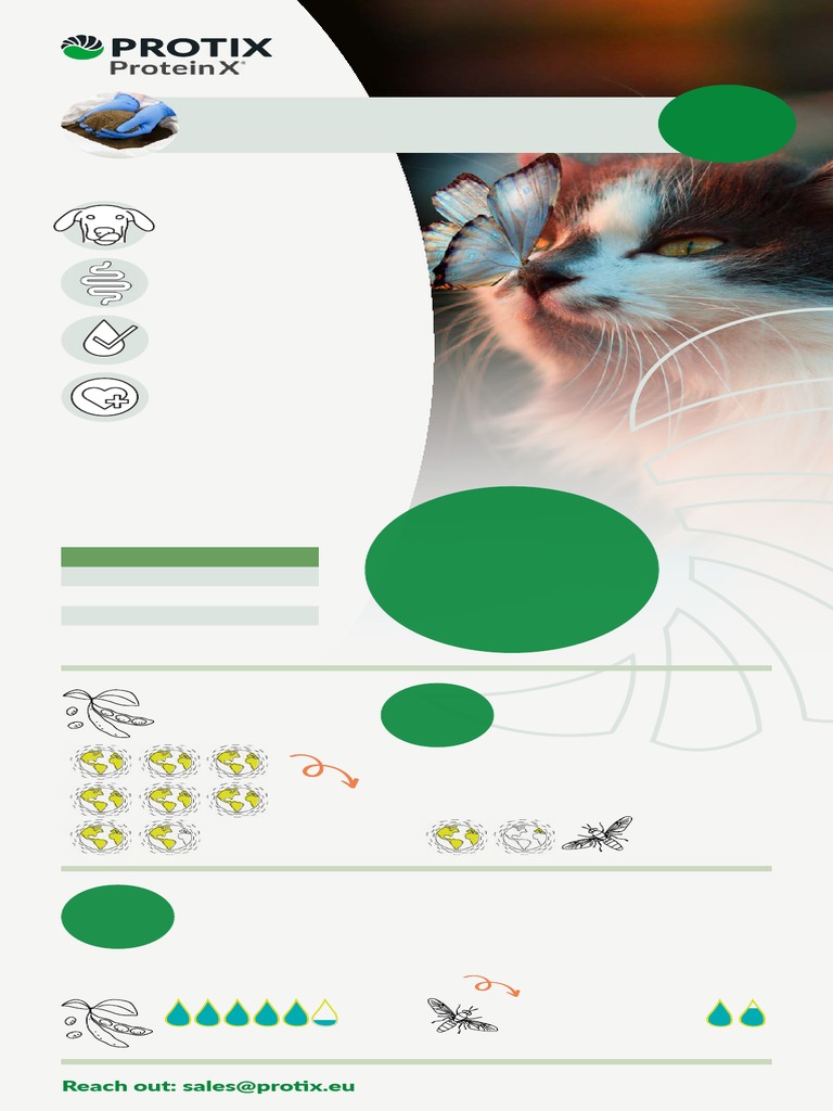 Protix ProteinX Infosheet-Pet-Food | PDF