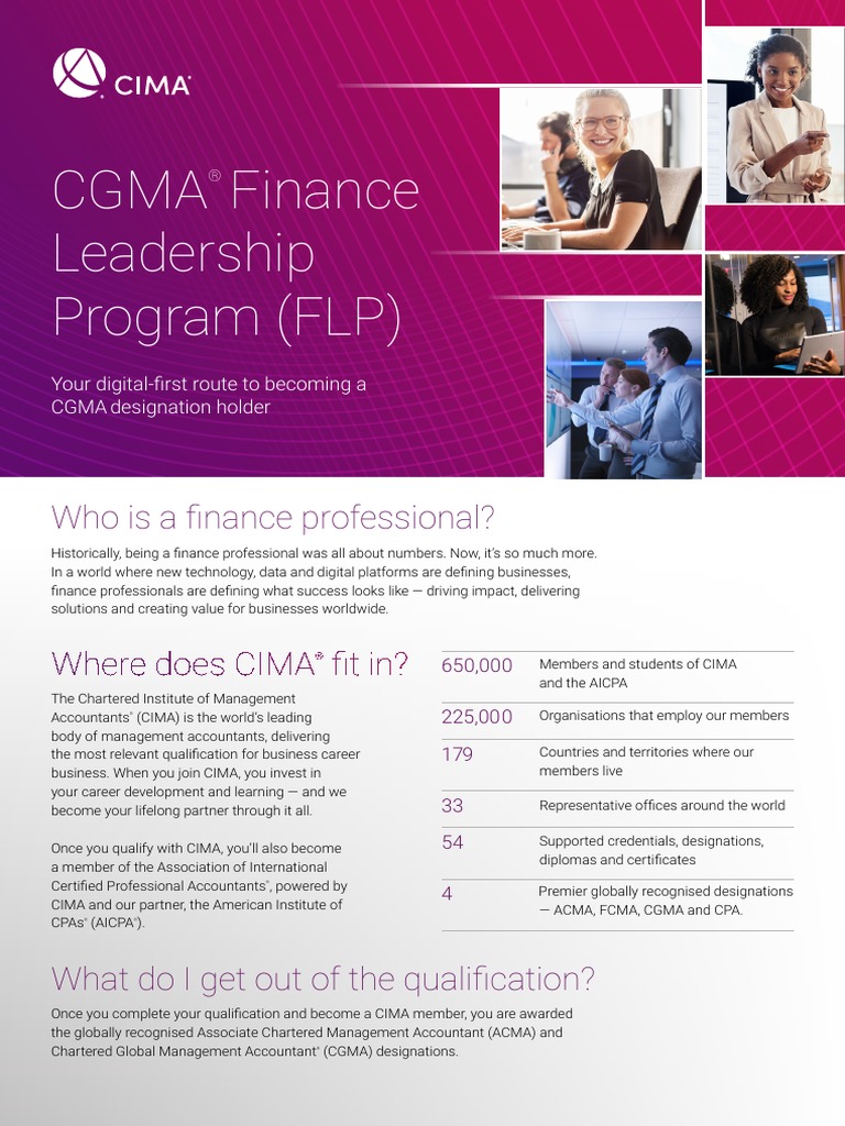Cgma Finance Leadership Program (FLP) : Who Is A Finance Professional? | PDF