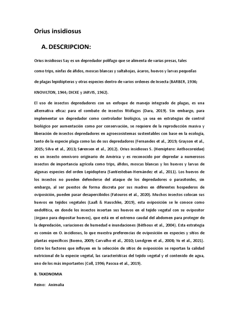 Orius Insidiosus | PDF