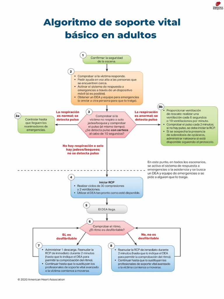 Algoritmos AHA 2020 V5 | PDF