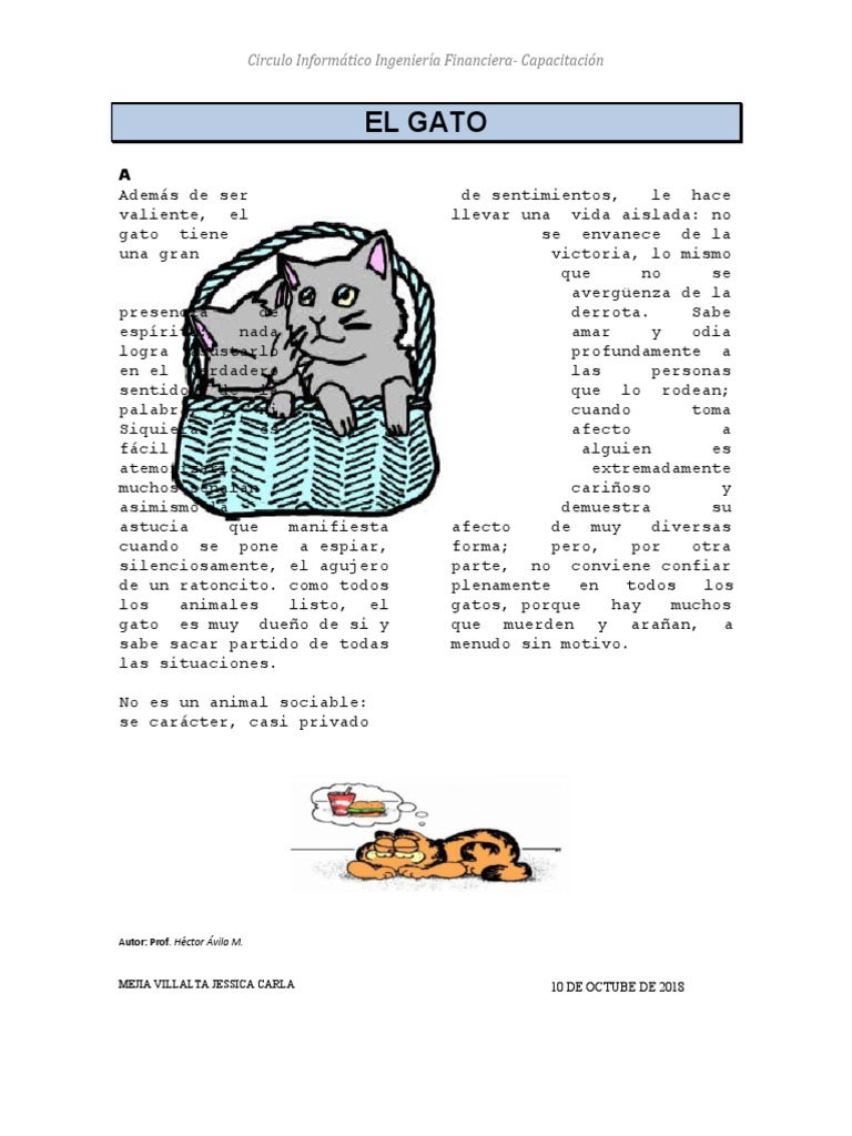 El Gato | PDF