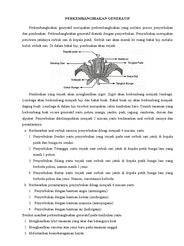 Materi IPA Kelas VI Tema 2 | PDF | Griya & Taman