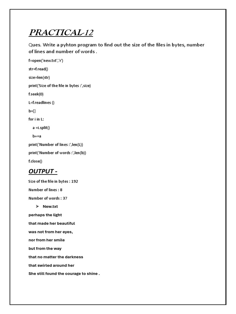 Python File Size and Word Count Program | PDF