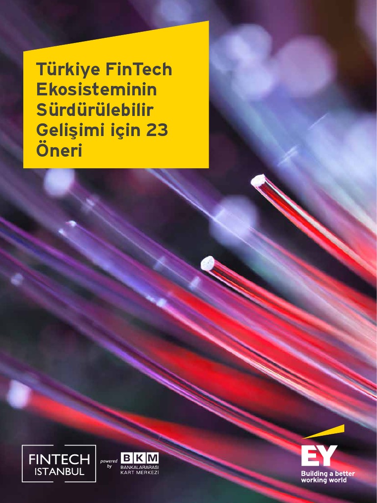 EY Turkiye Fintech Donusumu Raporu | PDF