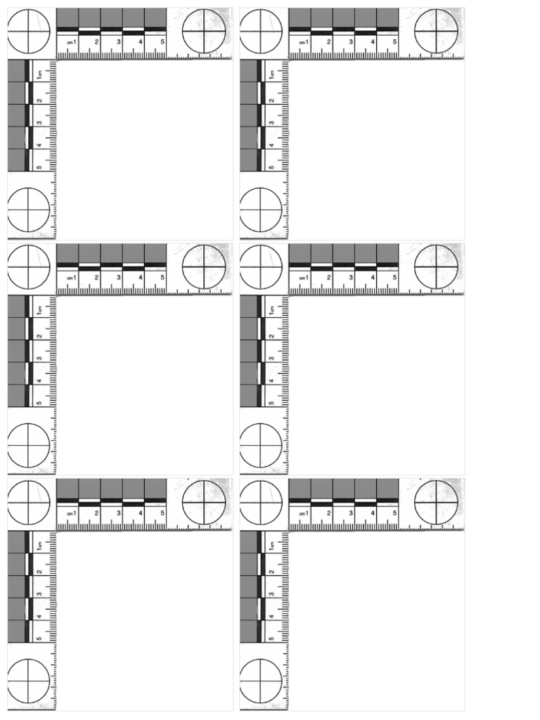 TESTIGOS METRICOS | PDF