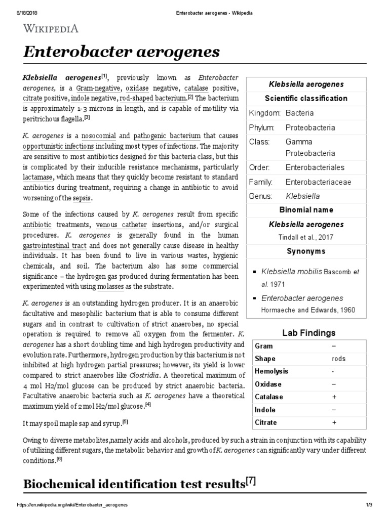 Enterobacter Aerogenes - Wikipedia | PDF