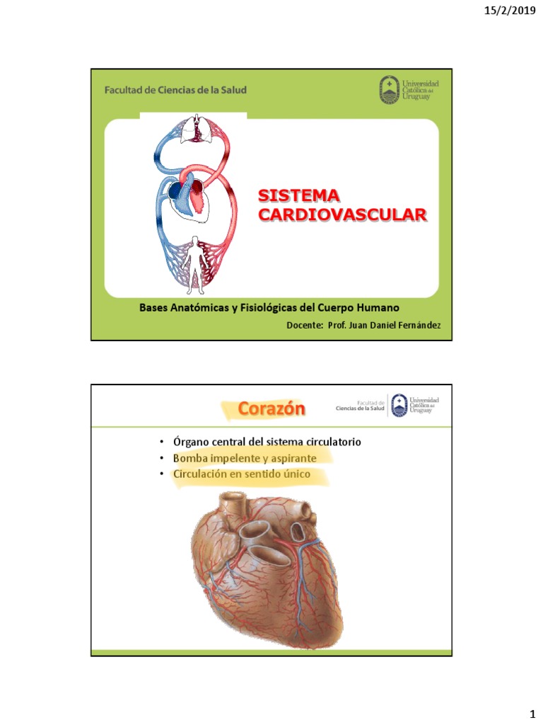 Cardio 2 | PDF