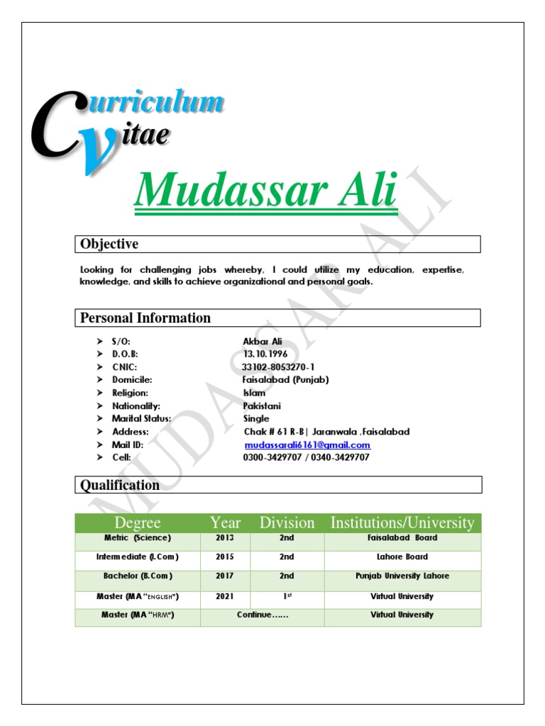 Mudassar Ali's Professional CV Summary | PDF