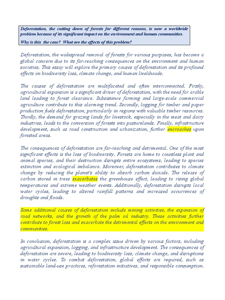 Cause and Effect Essay | PDF | Deforestation | Forests