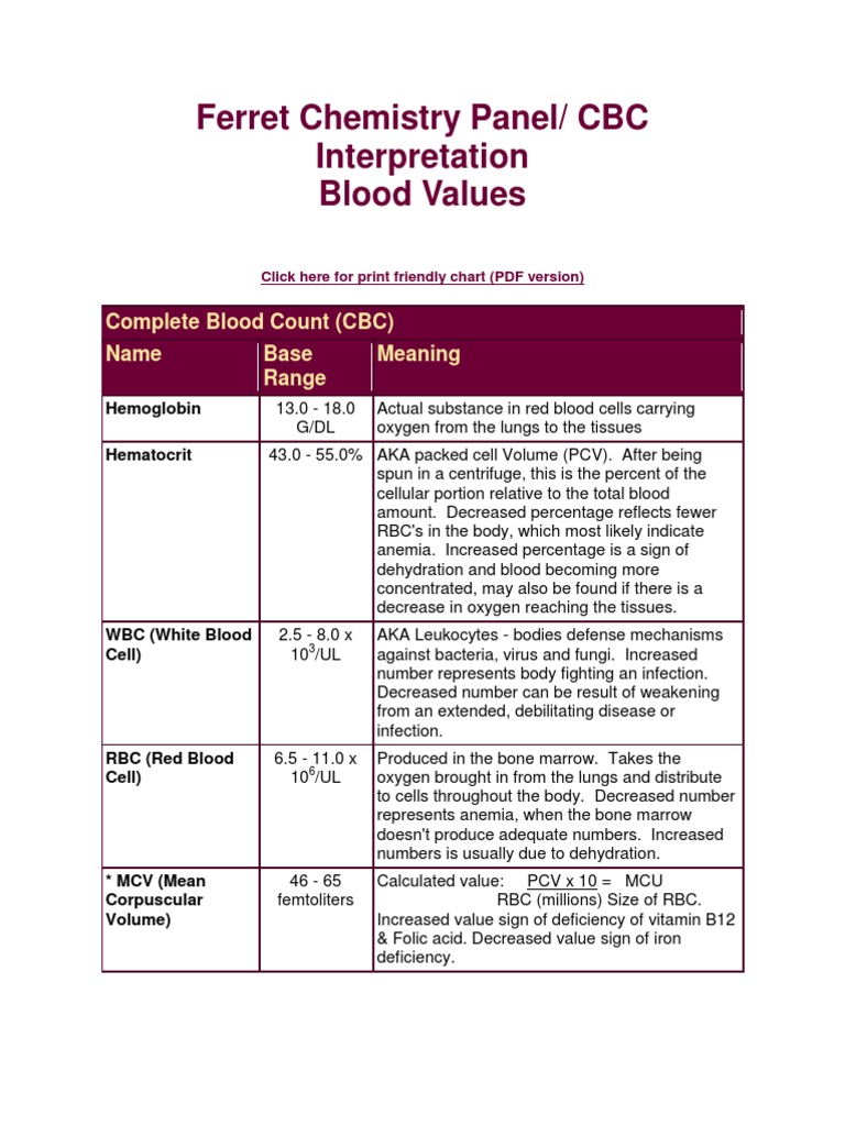 Ferret Chemistry Panel/ CBC Interpretation: Understanding Blood Test ...