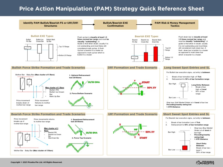 PAM Strategy Quick Reference Sheet | PDF