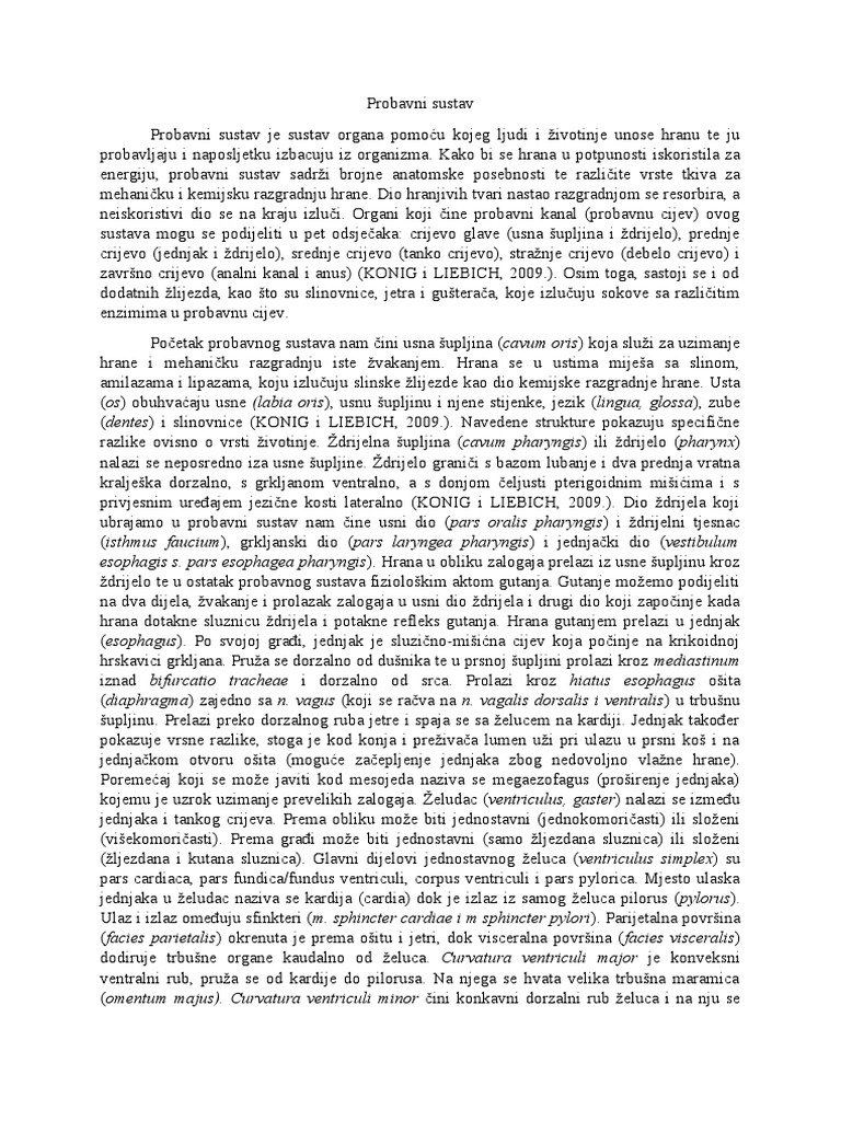 Probavni Sustav | PDF