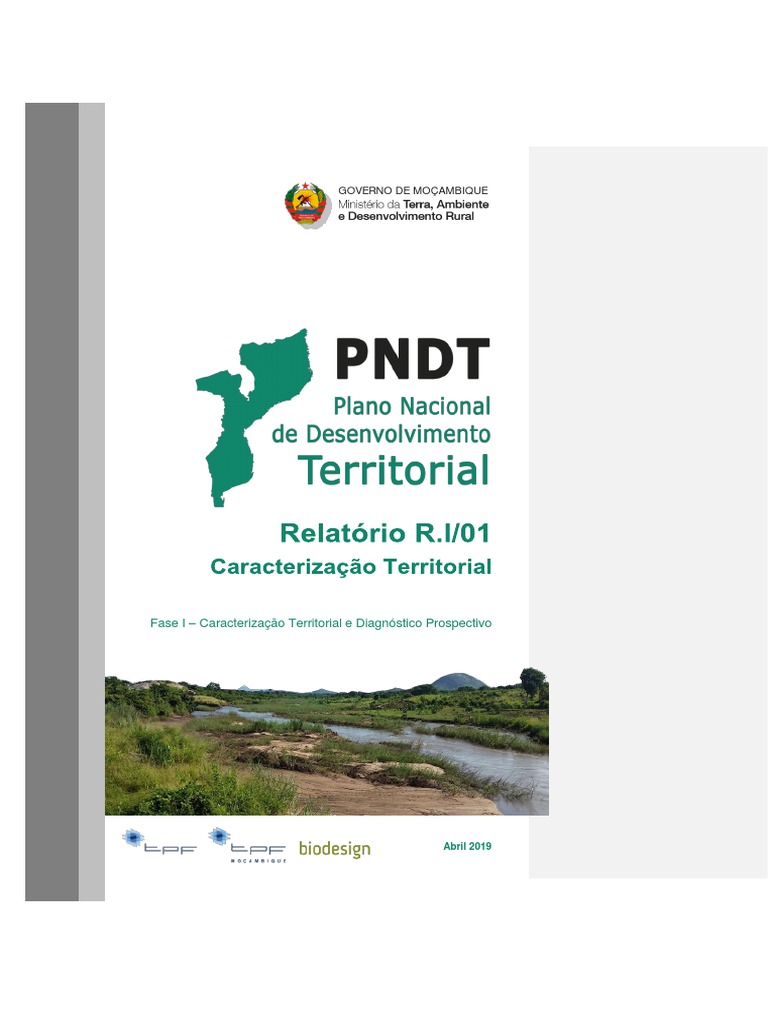 PNDT R.I 01 RelCaracteriz B Vss-1 | PDF