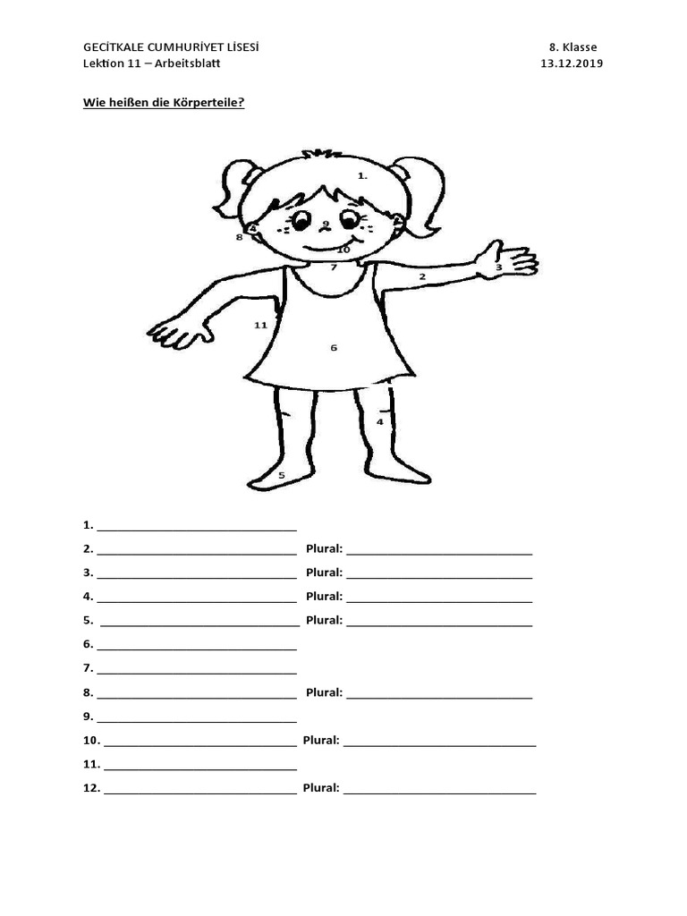 Die Körperteile | PDF