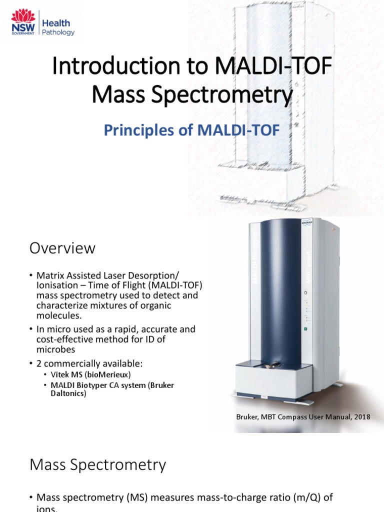 Maldi Tof Elias 16jun2020 | PDF | Mass Spectrometry | Time Of Flight ...