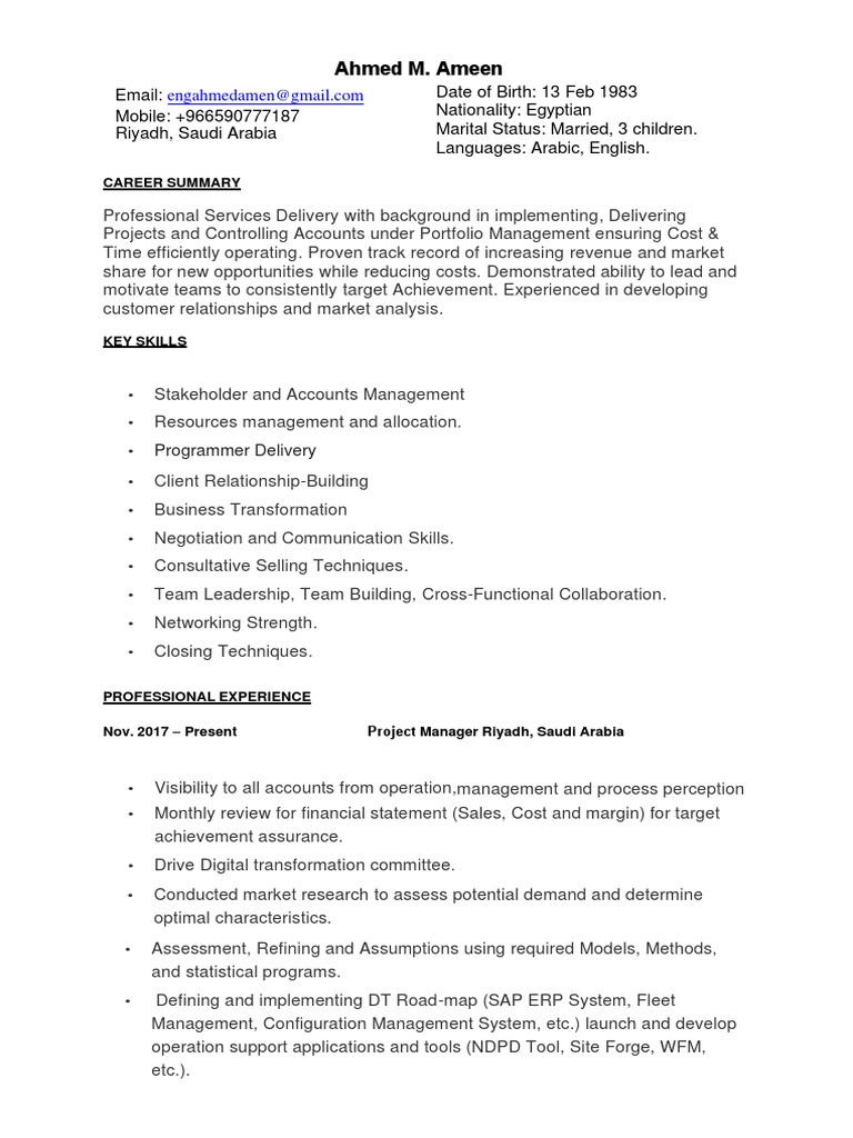 Ahmed Ameen CV - Aug-2023 | PDF | Business | Sales