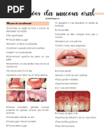 Lâminas de Mucosa Oral | PDF | Língua | Anatomia