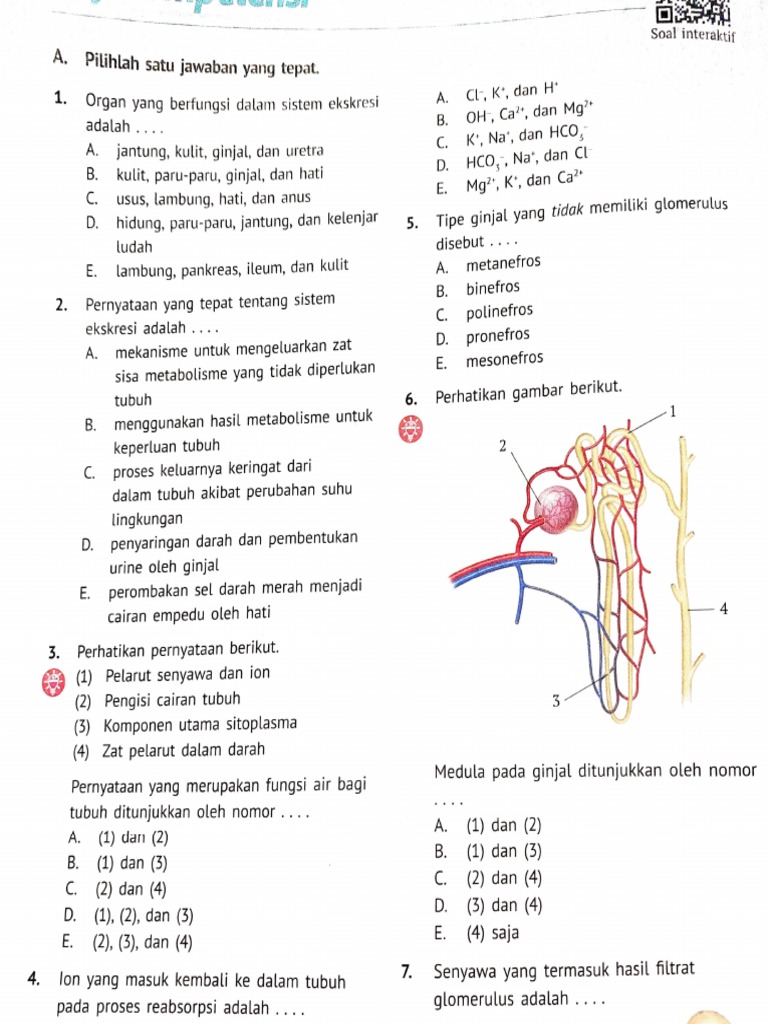 Soal Bio | PDF