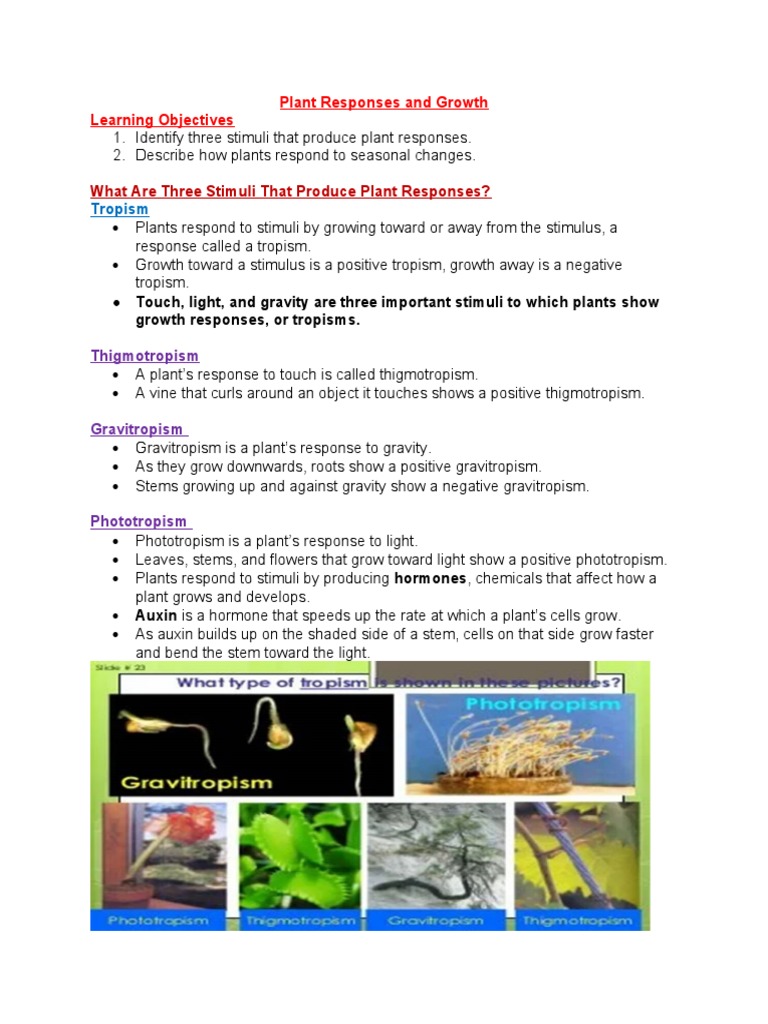 Plant Responses and Growth | PDF | Botany | Physiology