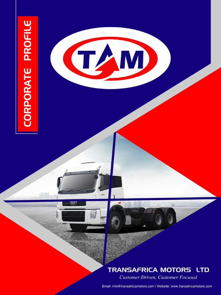 TAM Profile.2019 | PDF