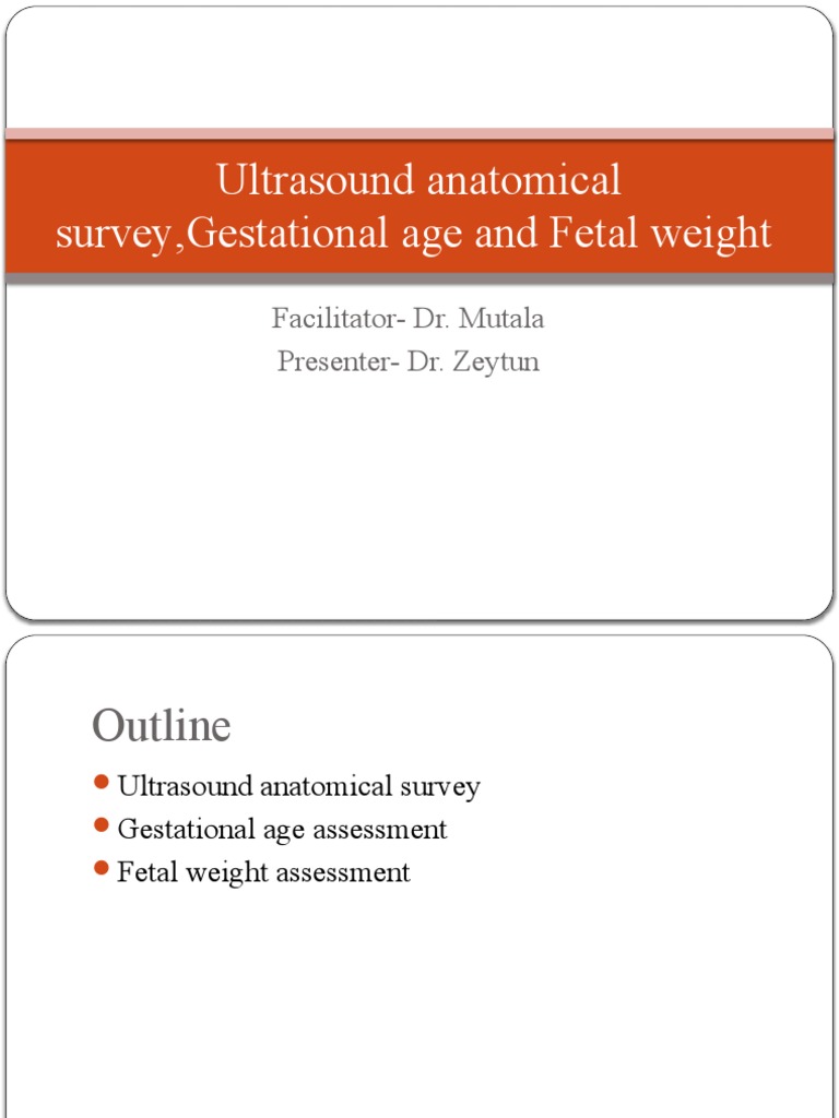 Ultrasound Anatomical Survey | PDF