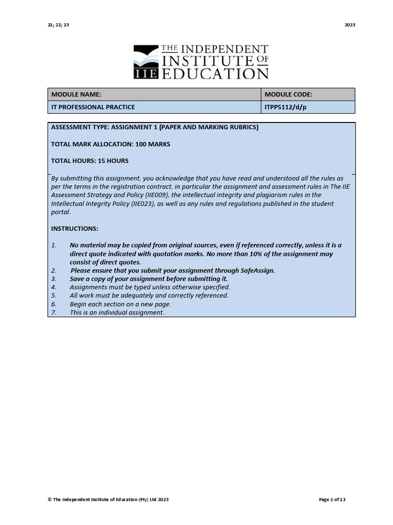 IT Professional Practice Assignment | PDF