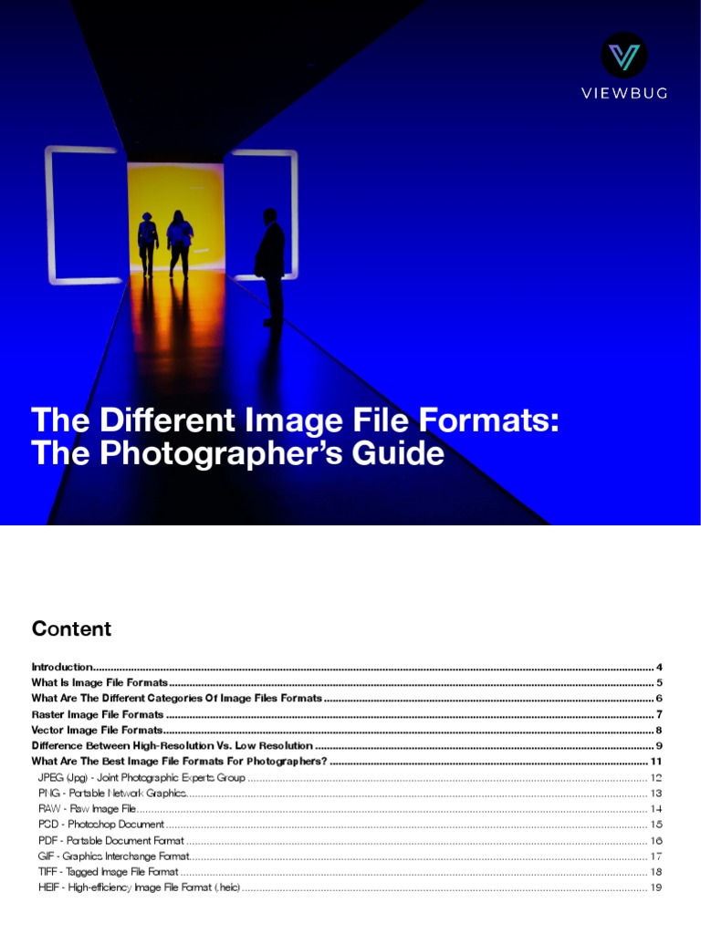 The Different Image File Formats - The Photographer's Guide | PDF | Raw Image Format | Digital Image