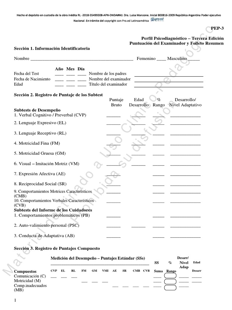PEP-3 Puntaje Examinador | PDF