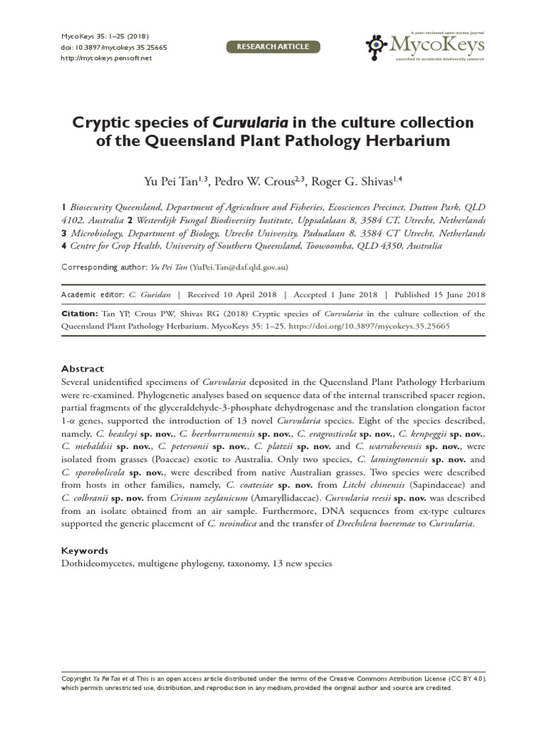 Especies de Curvularia | PDF