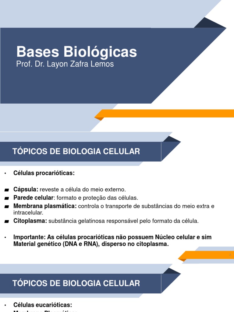 Bases Biológicas - UN1 - Vídeo 01 | PDF | Célula (Biologia) | Citoplasma