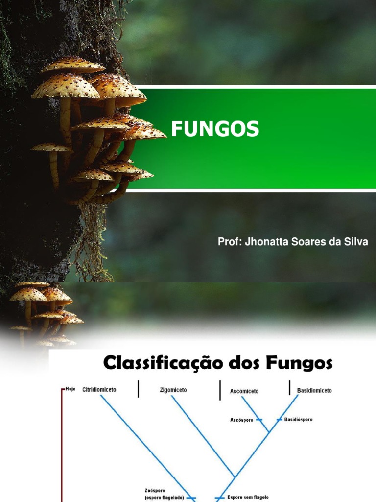 FUNGOS | PDF
