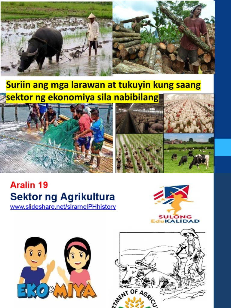 MELC - Aralin 19 Sektor NG Agrikultura | PDF