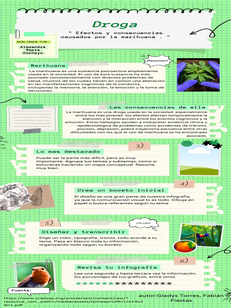 DROGA | PDF | Cannabis (Droga) | Drogas