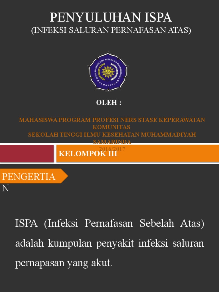 Penyuluhan Ispa | PDF