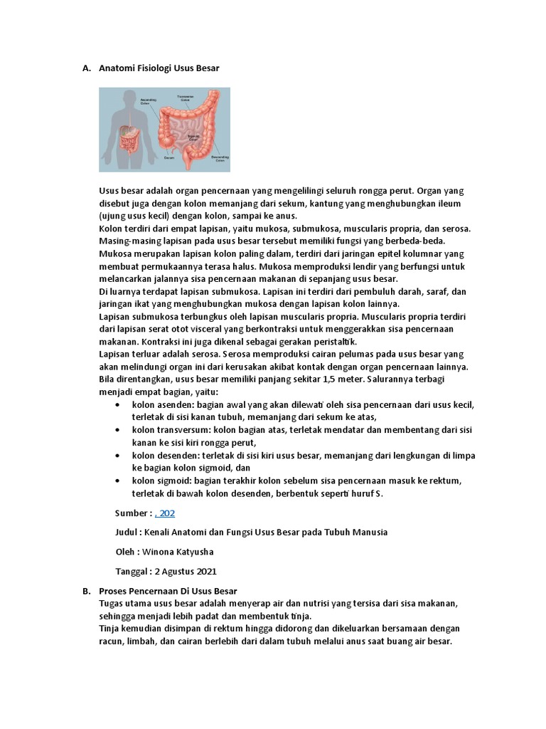 Panduan Lengkap Usus Besar | PDF